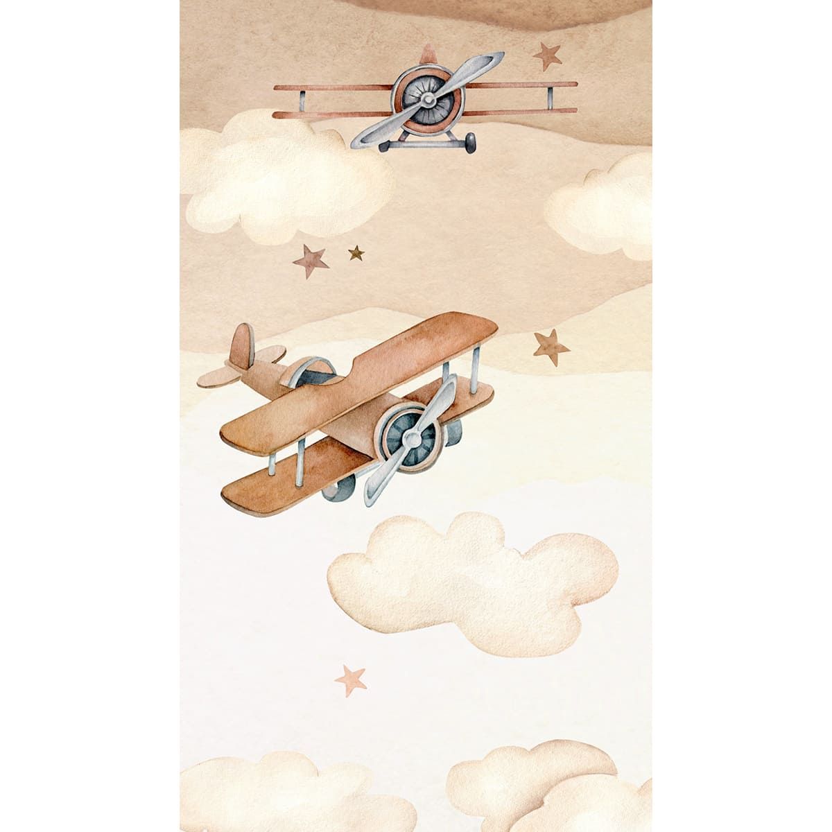 Tapet Biplane Design